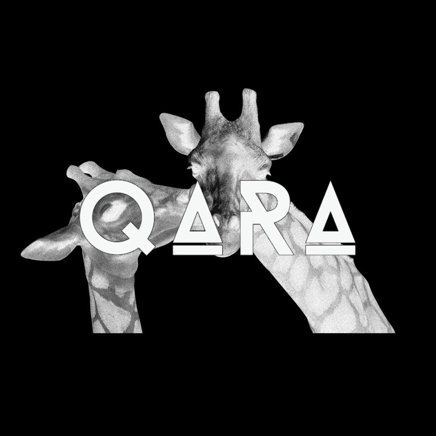 Comenzamos el año amando locamente con QARA - Toma La Alternativa